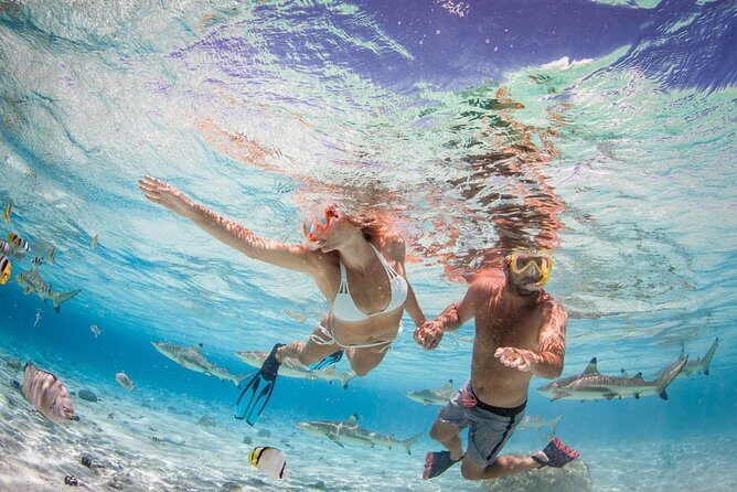 Private Full Day Aquatic Photo Tour + Resort Photo-Shoot (All inclusive) - Authentic Experiences and Highlights