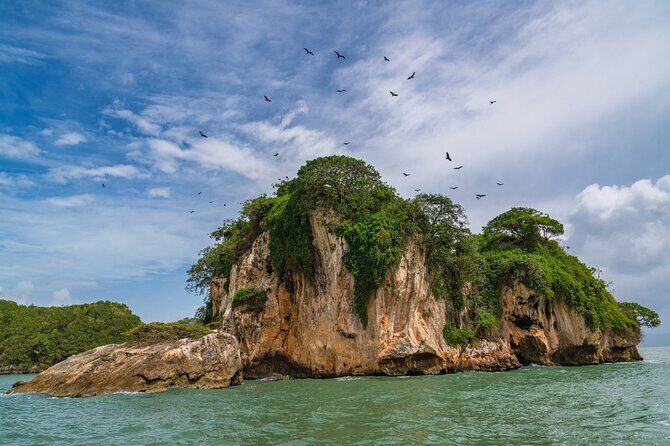 Private Full-Day at Los Haitises National Park - FAQ