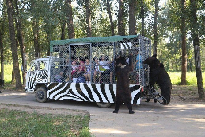 Private Full-Day Beijing Wildlife Park Tour - What Makes This Tour Stand Out