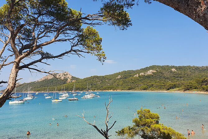 Private full-day boat trip to Porquerolles - The Meal or Picnic Option
