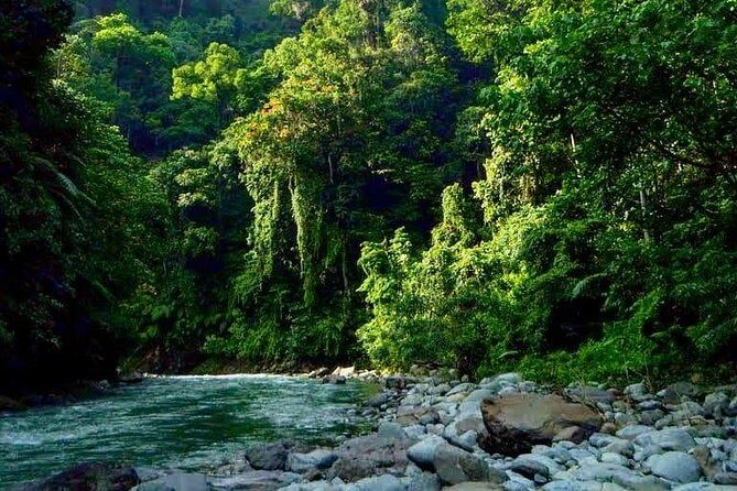 Private Full-Day Bukit Lawang Trekking Tour From Medan - End of the Day: Return to Medan