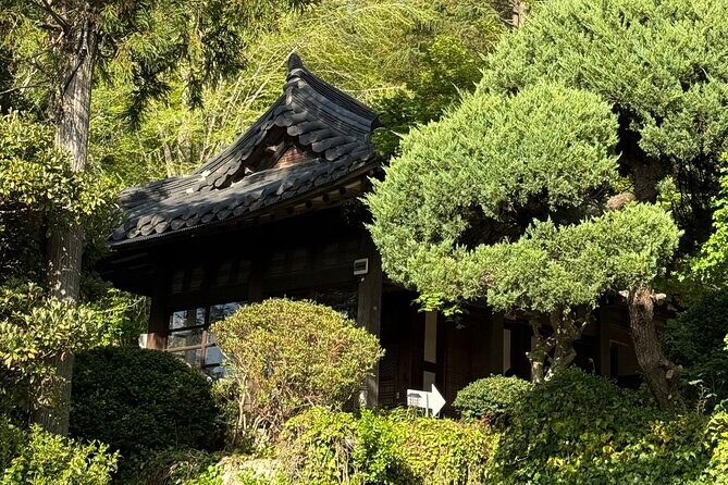 Private Full-Day Busan Tour with Personal Driver - The Sum Up: Is This Tour Right For You?