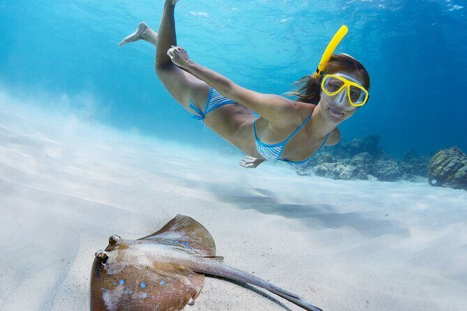 Private Full Day BVI Boat Charter Aboard MV Aquarius - The Sum Up