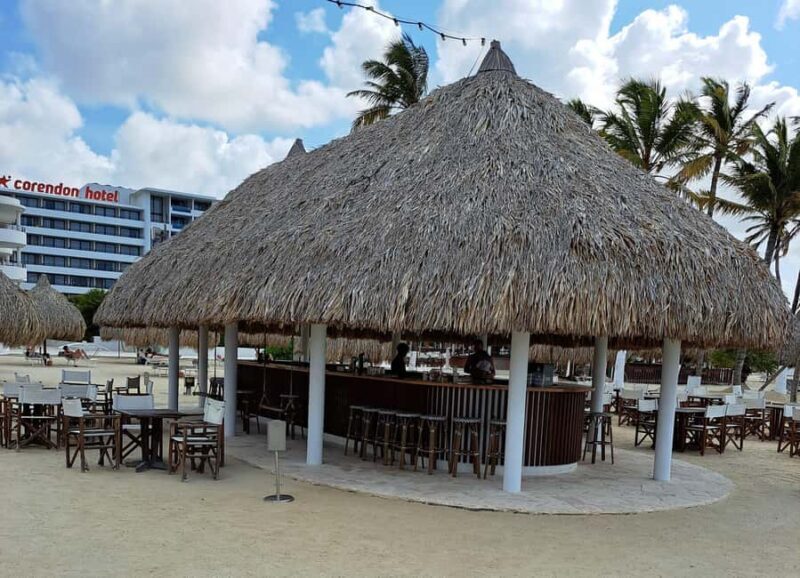 Private: Full-Day Catalina Reef & Beach Escape by Catamaran - Key Points