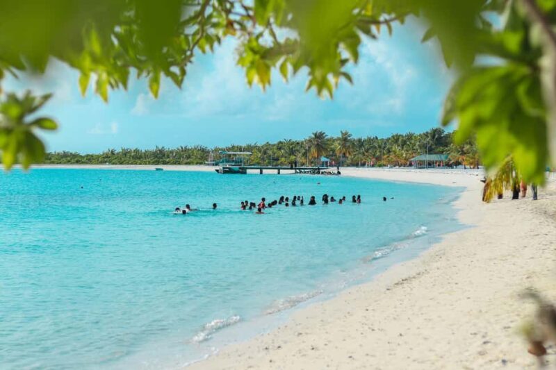 Private: Full-Day Catalina Reef & Beach Escape by Catamaran - Exploring the Itinerary: What Youll Experience