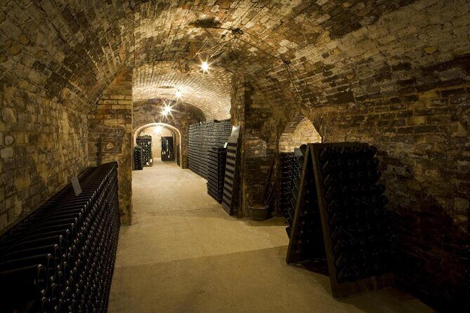 Private full-day Champagne Cellars tour from your hotel in Paris - Introduction: A Luxe Day in Champagne for Curious Travelers