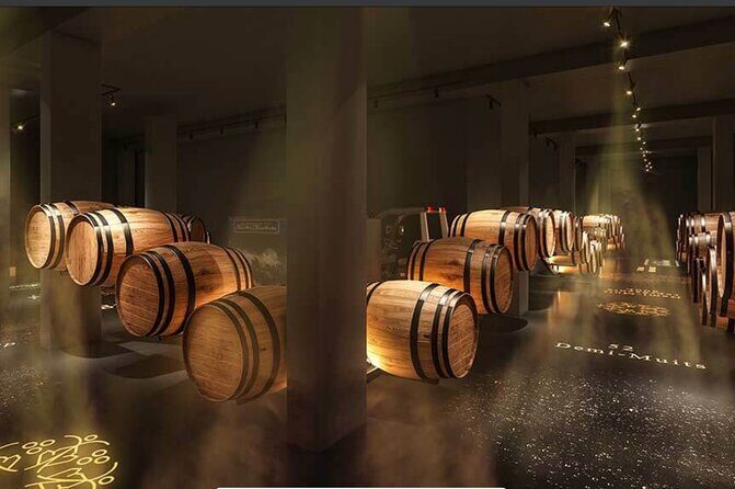 Private full-day Champagne Cellars tour from your hotel in Paris - Who Should Consider This Tour?