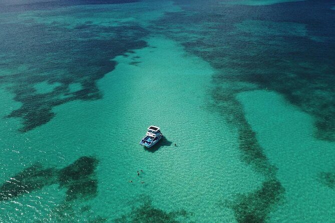 Private Full Day Charter to Saona Island from Punta Cana - An In-Depth Look at the Experience