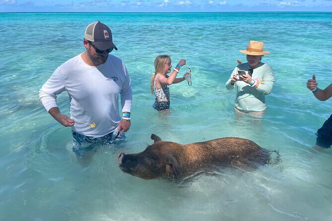 Private Full Day Cruise Tour in Rose Island with Snorkeling - Final Word