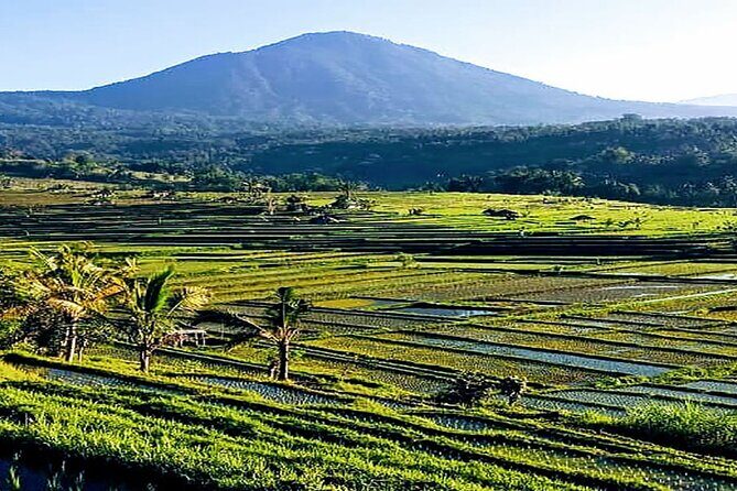 Private Full Day Enjoy Bedugul and Jatiluwih Rice Terrace - Who Should Consider This Tour?