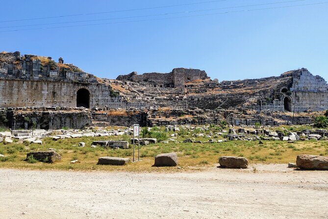 Private Full-Day Ephesus Tour with Miletus and Didyma for Cruise Guests - Exploring the Private Full-Day Ephesus, Miletus, and Didyma Tour: A Detailed Look