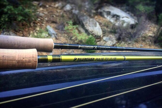 Private Full Day Fly Fishing For Beginners and Experienced Anglers - What to Expect from the Tour