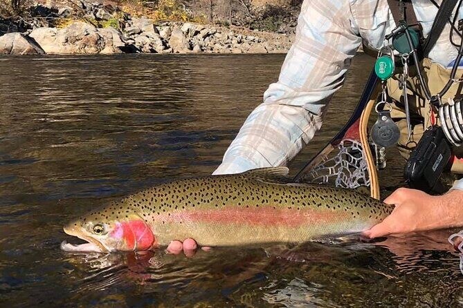 Private Full Day Fly Fishing For Beginners and Experienced Anglers - Who Will Love This Tour?