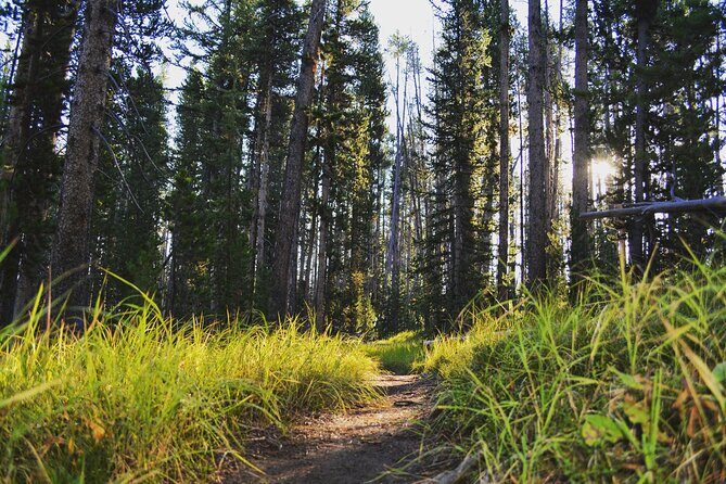 Private Full-Day Grand Canyon of Yellowstone Hiking Adventure - Pricing & Value