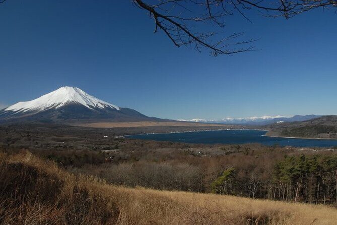 Private Full-Day Guided Tour in Mount Fuji Lakes - An In-Depth Look at the Tour Experience