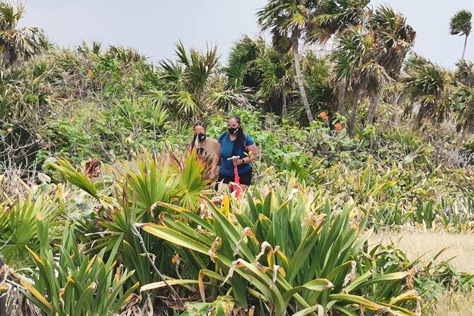 Private Full-Day Guided Tulum Coba and Cenote Tour with Lunch - Is This Tour Worth the Cost?