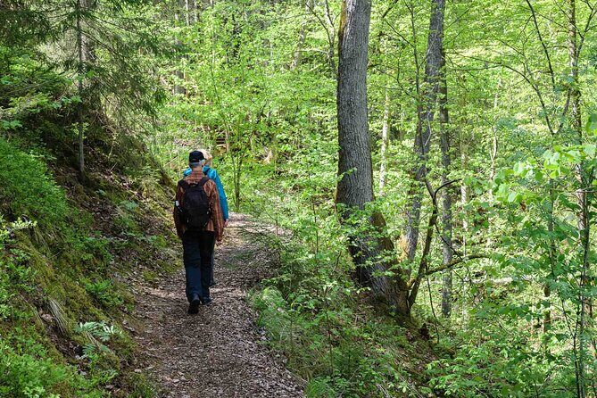 Private Full-Day Hiking Tour in Sigulda and Gauja National Park - Discover Latvia’s Natural Charm with a Full-Day Hike in Sigulda and Gauja National Park