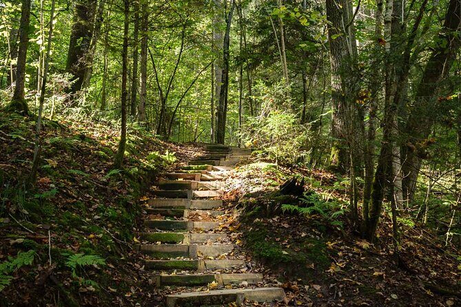 Private Full-Day Hiking Tour in Sigulda and Gauja National Park - Final Words
