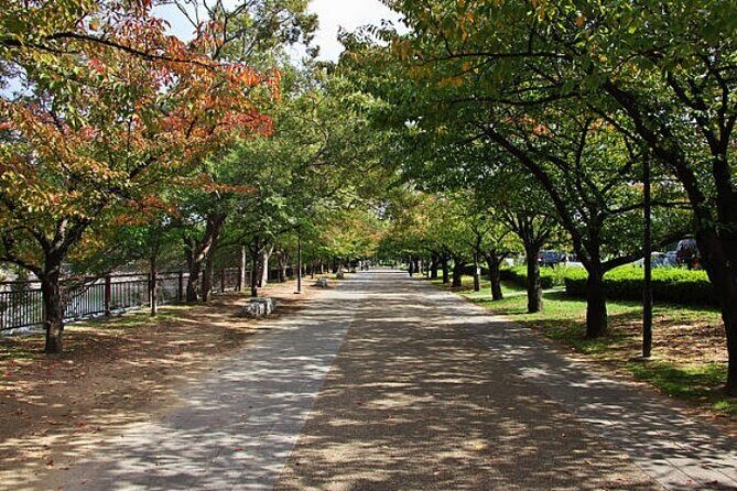 Private Full Day Himeji and Kobe Day Tour - The Value of a Private, Customizable Experience