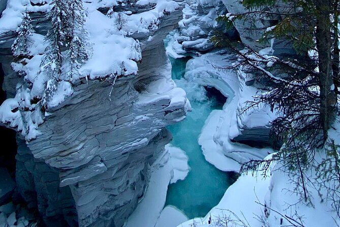 Private Full Day Icefield Parkway Tour - Key Points