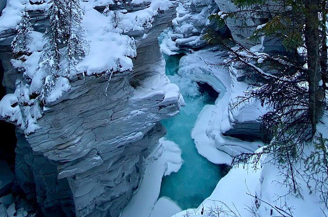 Private Full Day Icefield Parkway Tour - The Value of the Experience