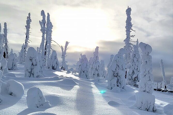 Private Full Day Icefield Parkway Tour - Final Thoughts: Who Will Love This Tour?