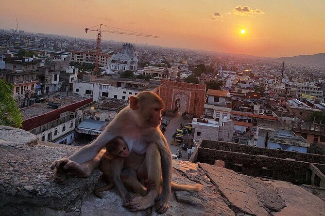 Private Full-Day Jaipur City Sightseeing Tour with Sunset View - FAQ