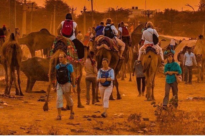 Private Full Day Jaipur Sightseeing Tour By Tuk-Tuk (Rickshaw) - Key Points