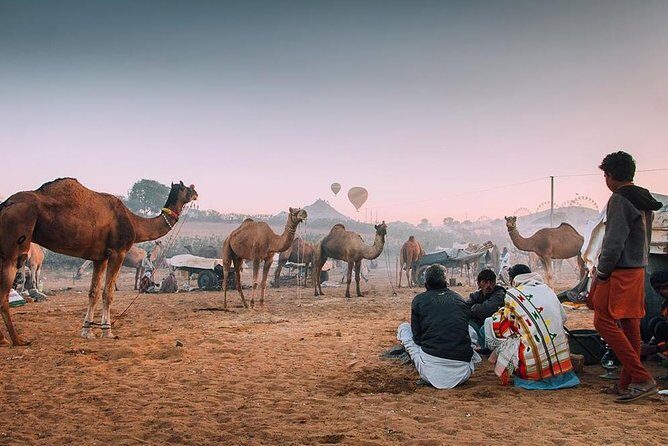 Private Full Day Jaipur Sightseeing Tour By Tuk-Tuk (Rickshaw) - Why Choose the Tuk-Tuk Jaipur Tour?