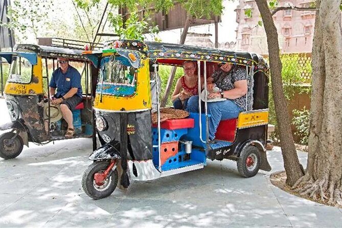 Private Full-Day Jaipur Tuk-Tuk Tour with the Monkey Temple - Introduction: Why Choose a Tuk-Tuk Tour in Jaipur?