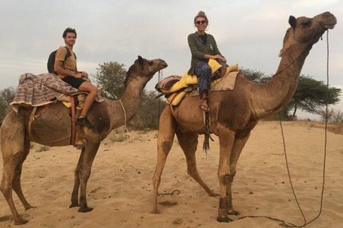 Private Full-Day Jodhpur City Tour and Desert Safari - An In-Depth Look at the Jodhpur Experience