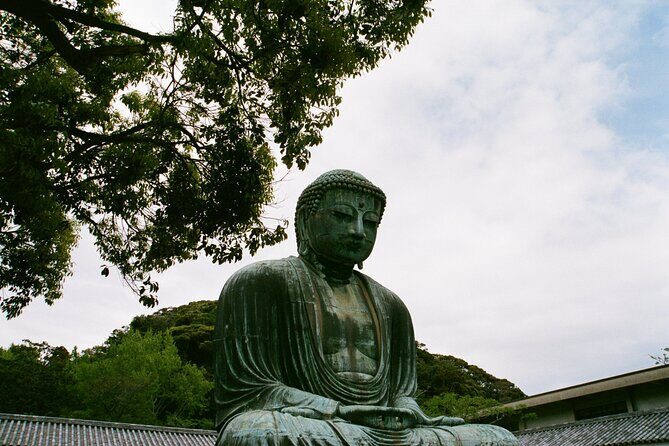 Private Full-Day Kamakura-Enoshima Tour with Bilingual Driver - What Makes This Tour Stand Out?