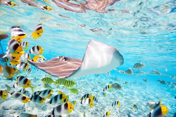 Private Full-Day Lagoon Adventure in Bora Bora with BBQ Lunch - Final Thoughts