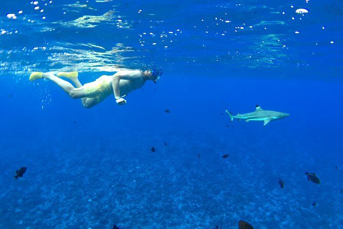 PRIVATE FULL DAY LAGOON TOUR - Bora Bora Cultural Lagoon Tour - Exploring the Lagoon: What You Can Expect