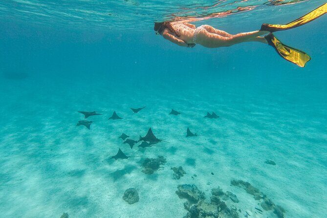PRIVATE FULL DAY LAGOON TOUR - Bora Bora Cultural Lagoon Tour - Frequently Asked Questions