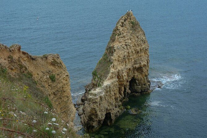 Private Full day landing beaches tour From Honfleur and Le Havre - Who Will Love This Tour?