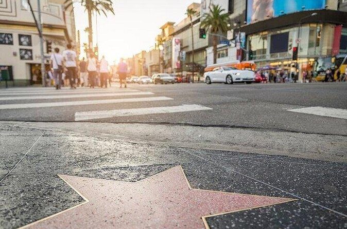 Private Full day Los Angeles Tour from Newport Beach - Who is This Tour Best For?