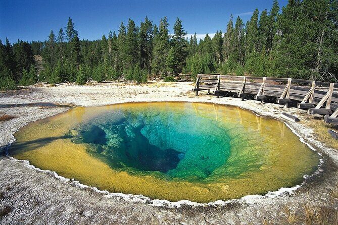Private Full Day Luxury Tour at Yellowstone Park - Final Thoughts