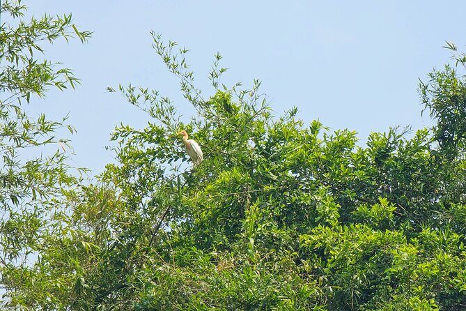 Private Full Day Mekong Delta Tour to Dong Thap Muoi Wetlands - Frequently Asked Questions (FAQs)