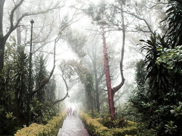 Private Full day Nandi Hill Excursion with Lunch - Traveler Experiences and Authentic Insights