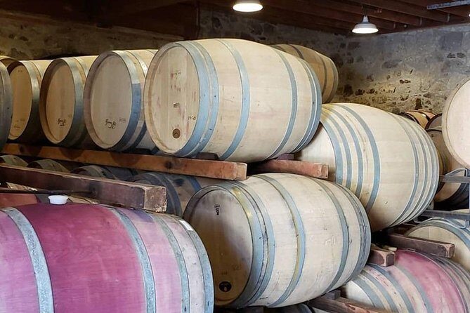 Private Full-Day Napa Wine Tour in a Luxury Vehicle - Authentic Experiences Highlighted by Guests