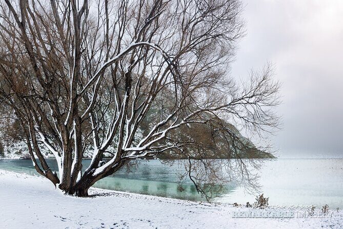Private Full Day Photography Tour in Queenstown - Follow the Gold - Final Thoughts
