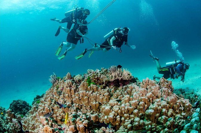 Private Full Day Racha Yai Scuba Diving Course from Phuket - The Sum Up