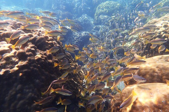 Private Full-Day Red Dragon Yacht to Angthong National Marine Park - Final Thoughts