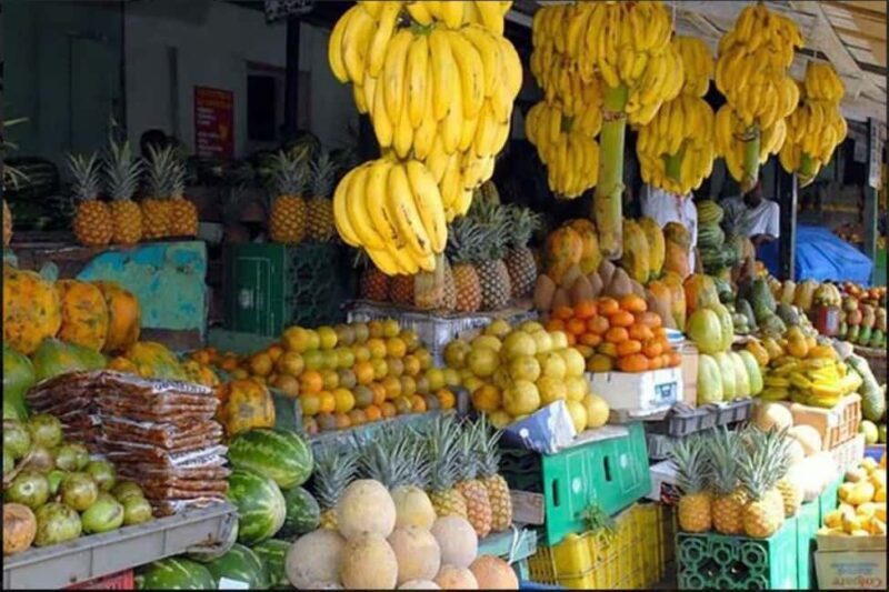 Private Full-Day Safari Adventure in Punta Cana with Pickup - Learning and Shopping