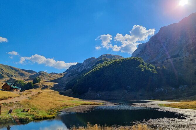 Private Full Day Safari Tour - In-Depth Look at the Zelengora Safari Experience