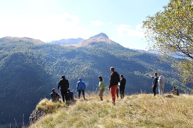 Private Full Day Safari Tour - The Sum Up: Who Should Consider This Tour?