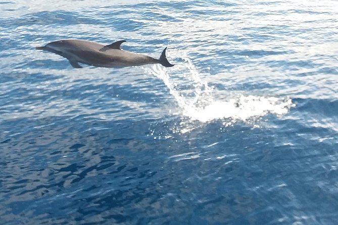 Private Full Day Sail/ Snorkel Experience USVI (Sapphire Marina, STT pick up) - The Sum Up: A Well-Rounded, Authentic Water Adventure