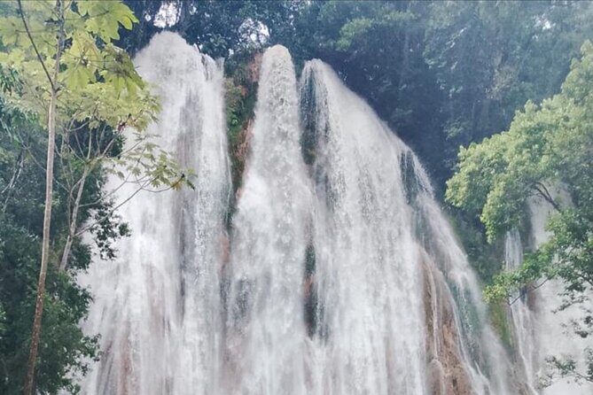 Private Full-Day Samaná Whale Watching Tour from Punta Cana - Summary of the Tours Strengths and Considerations