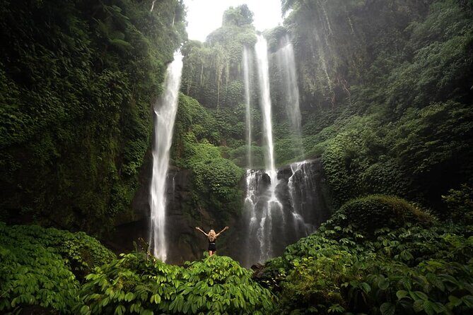 Private Full-Day Sekumpul Waterfall Hiking Tour - An In-Depth Look at the Tour Experience